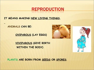Life processes of animals and plants | PPT