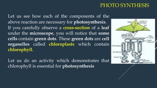 LIFE PROCESSES PART-2.pptx
