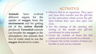 LIFE PROCESSES PART- 4.pptx