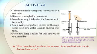 LIFE PROCESSES PART- 4.pptx
