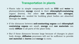LIFE PROCESSES PART- 6.pptx
