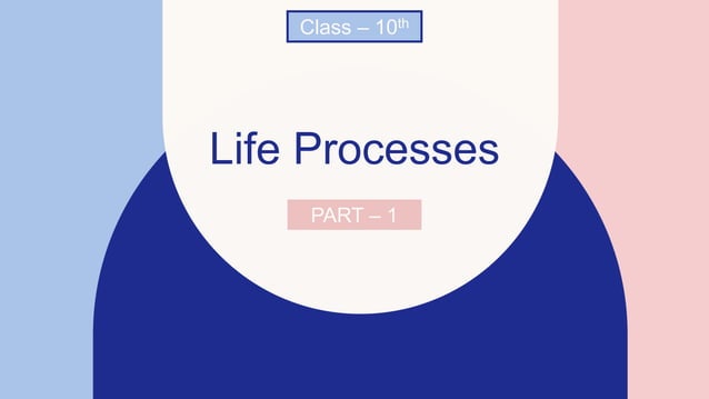 Life processes "Part 1" " Class 10" | PPTX