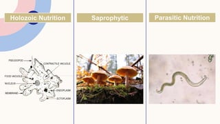 Life processes "Part 1" " Class 10" | PPTX