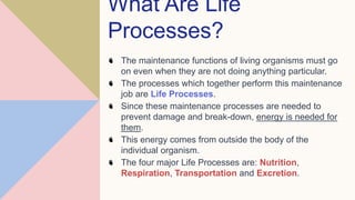 Life processes "Part 1" " Class 10" | PPTX