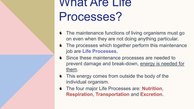 Life processes "Part 1" " Class 10" | PPTX