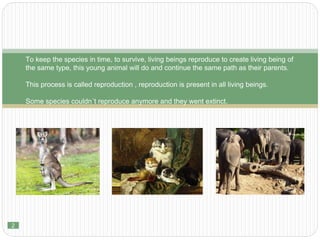 Life processes | PPTX