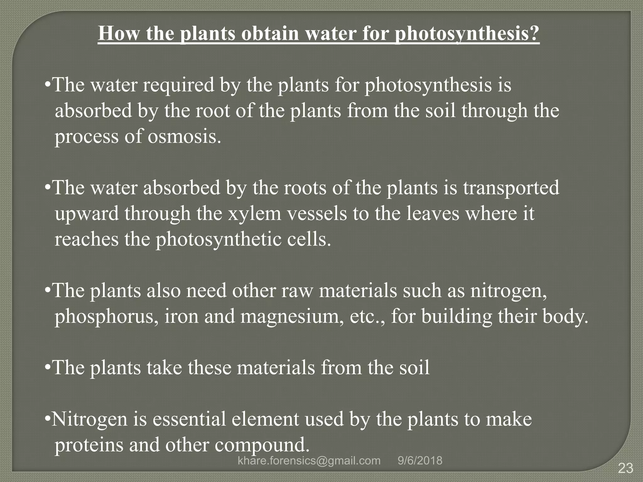 Life Processes cbse | PPTX