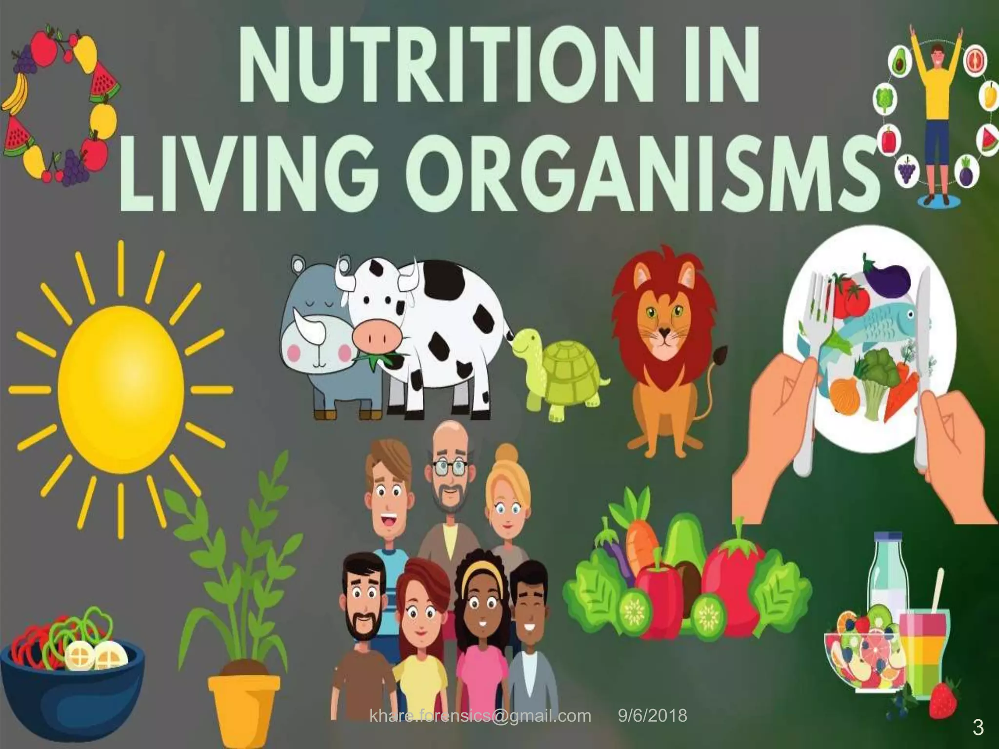 Life Processes cbse | PPTX