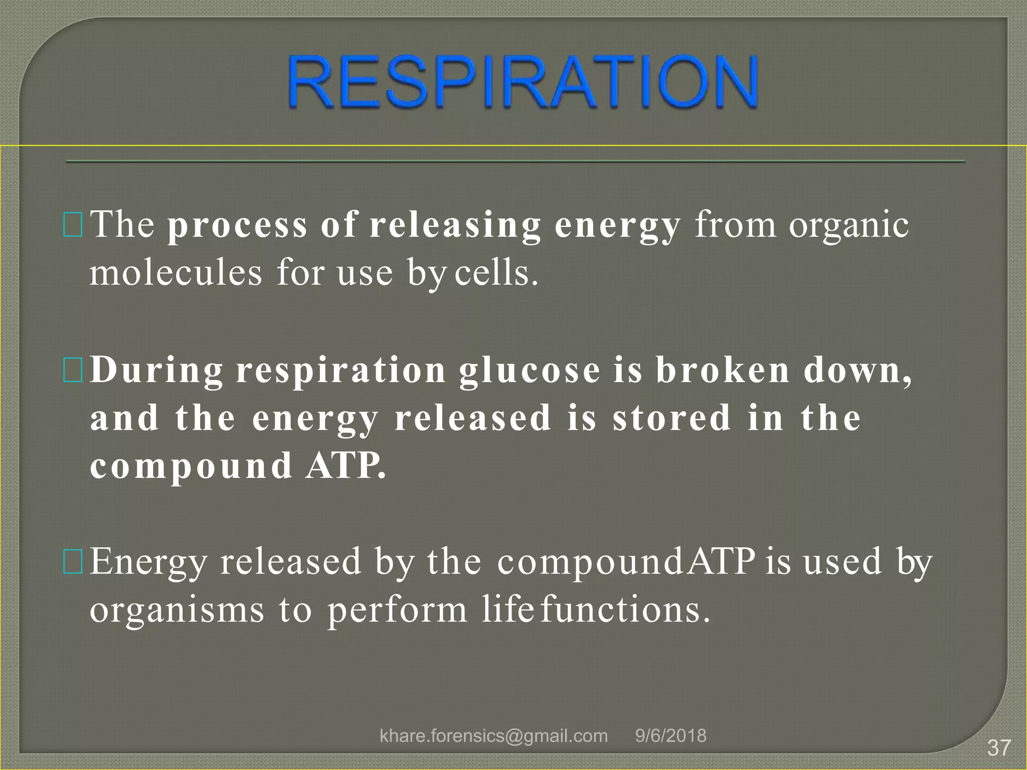Life Processes cbse | PPTX