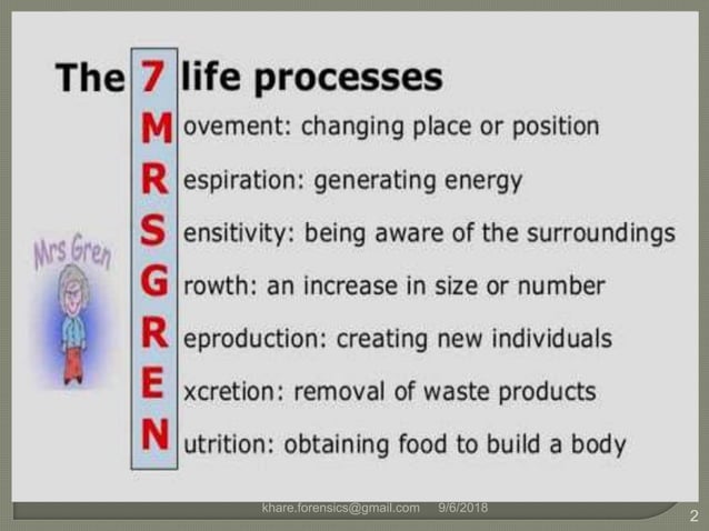 Life Processes cbse | PPTX