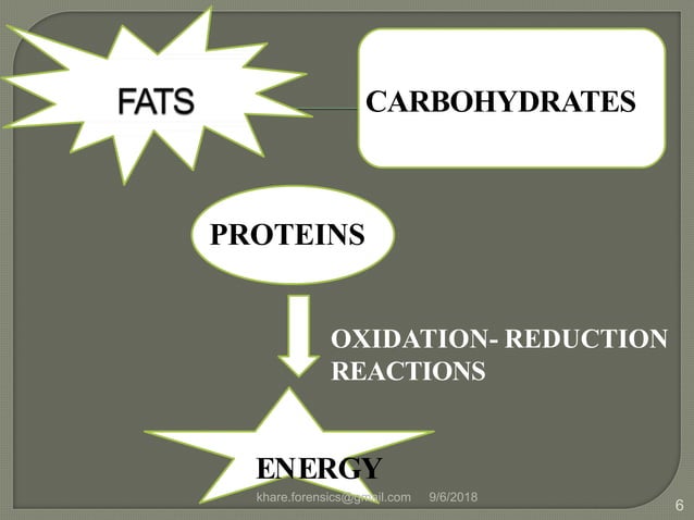 Life Processes cbse | PPTX