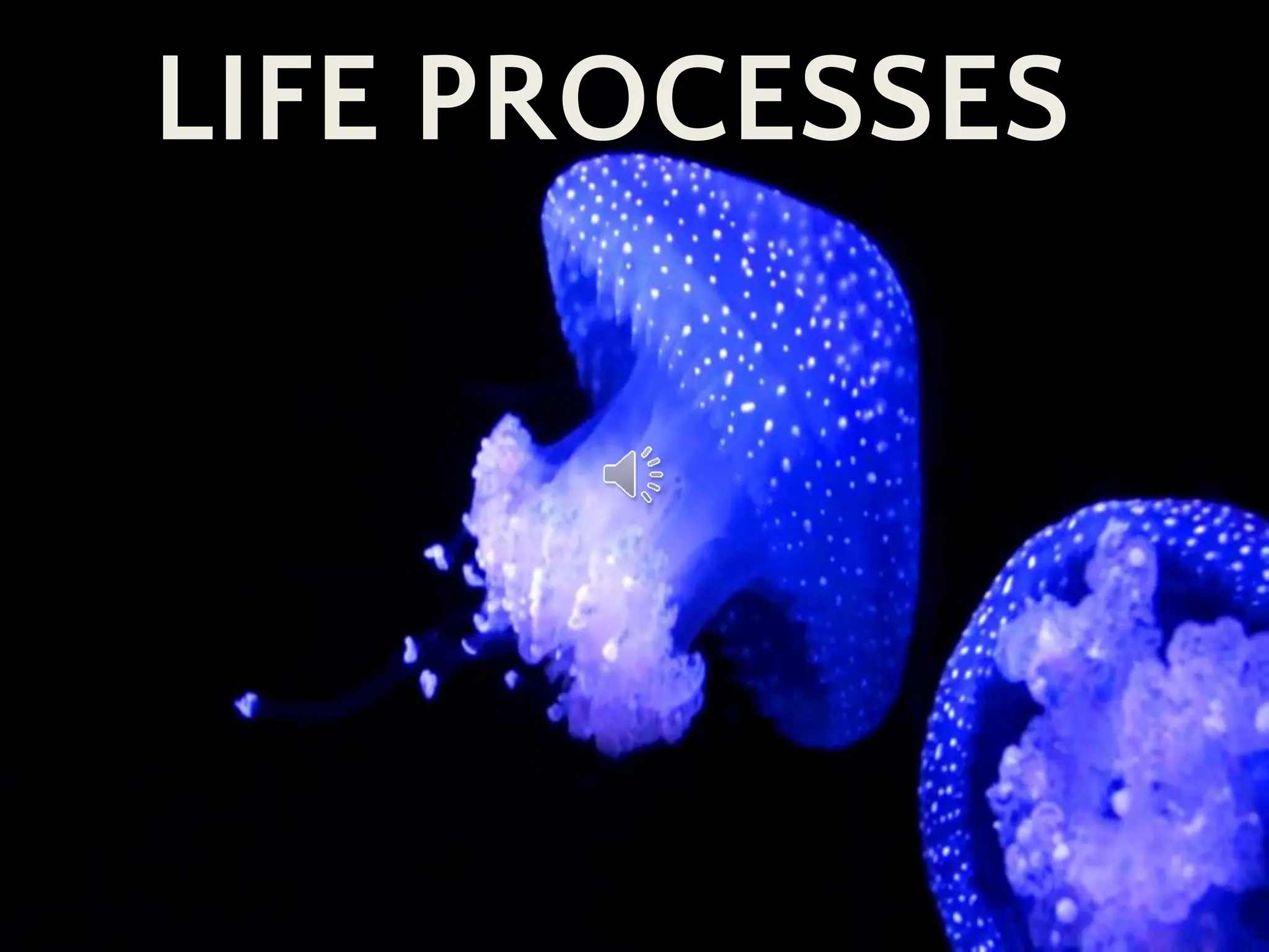 life processes ppt.pptx class 10 cbse. Important | PPT