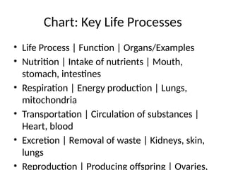 Life_Processes_AIentation.pptx for bed and science | PPT