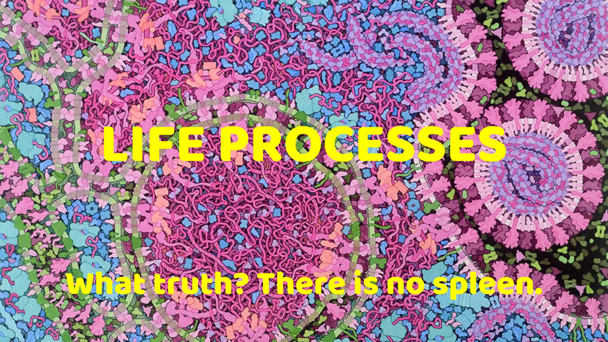 Life Processes Quiz REDACTED | PPT