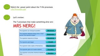 Life Processes Unit 1.pptx