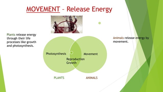 Life Processes Unit 1.pptx