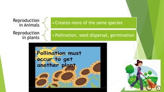 Life Processes Unit 1.pptx