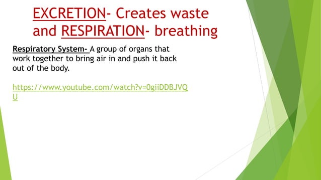 Life Processes Unit 1.pptx science chapter 5 | PPT