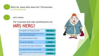 Life Processes Unit 1.pptx science chapter 5 | PPT