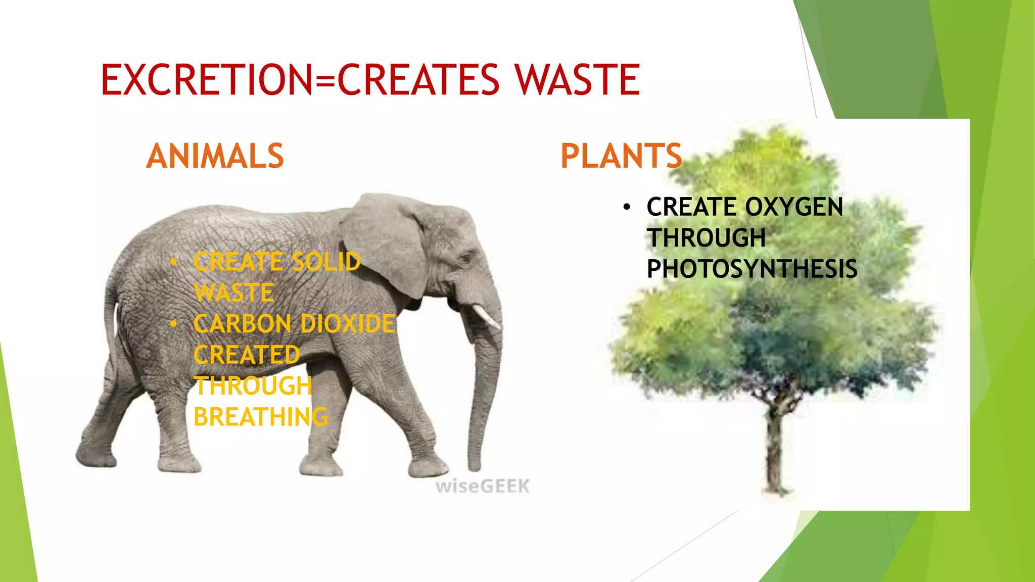 Life Processes Unit 1 (1).pptx