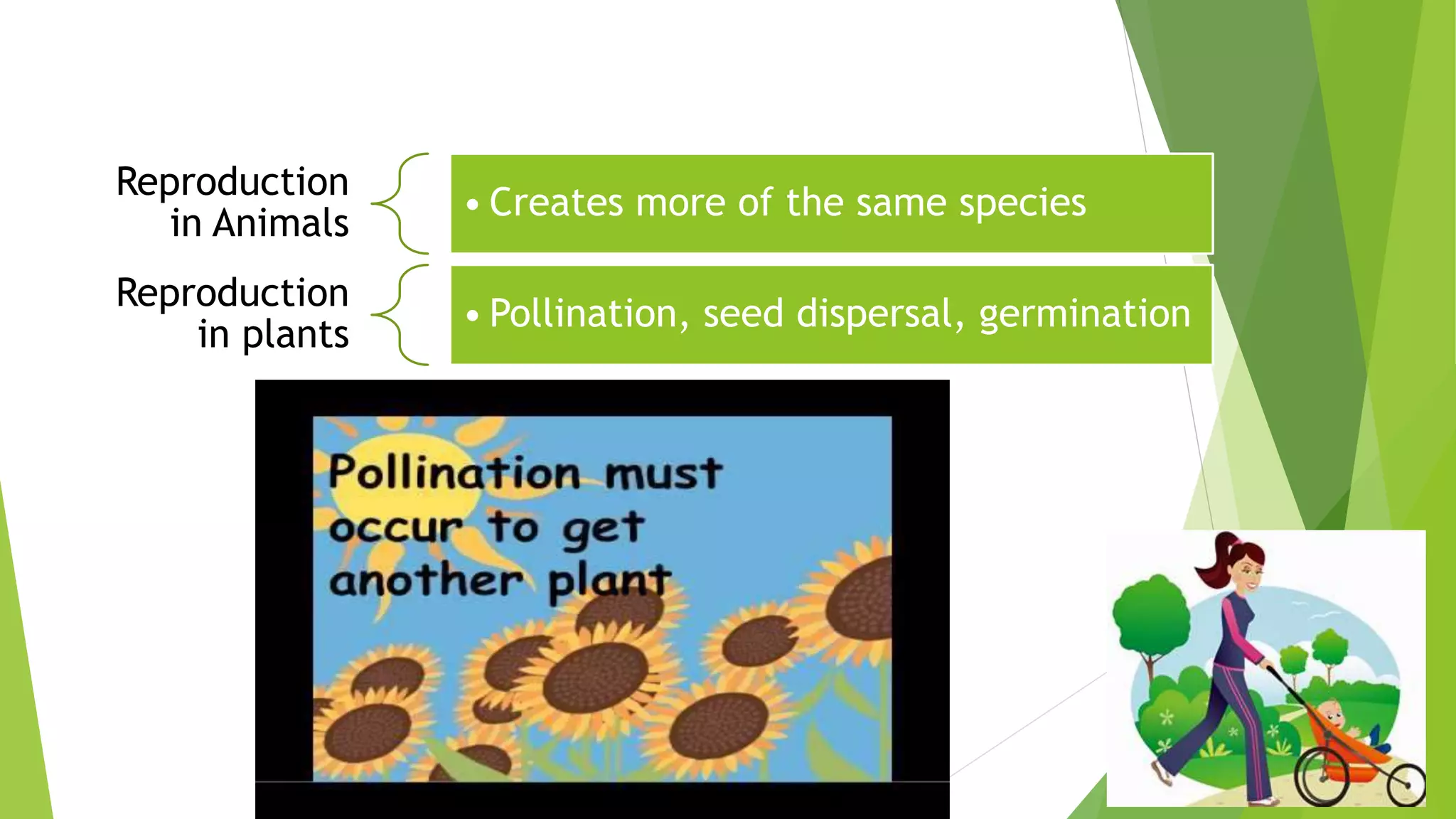 Life Processes Unit 1 (1).pptx