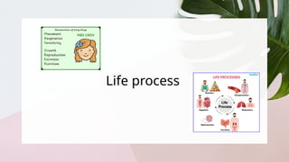Life process grade 10.pptx how life process | PPTX
