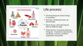 Life process grade 10.pptx how life process | PPTX