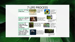 Life process grade 10.pptx how life process | PPTX
