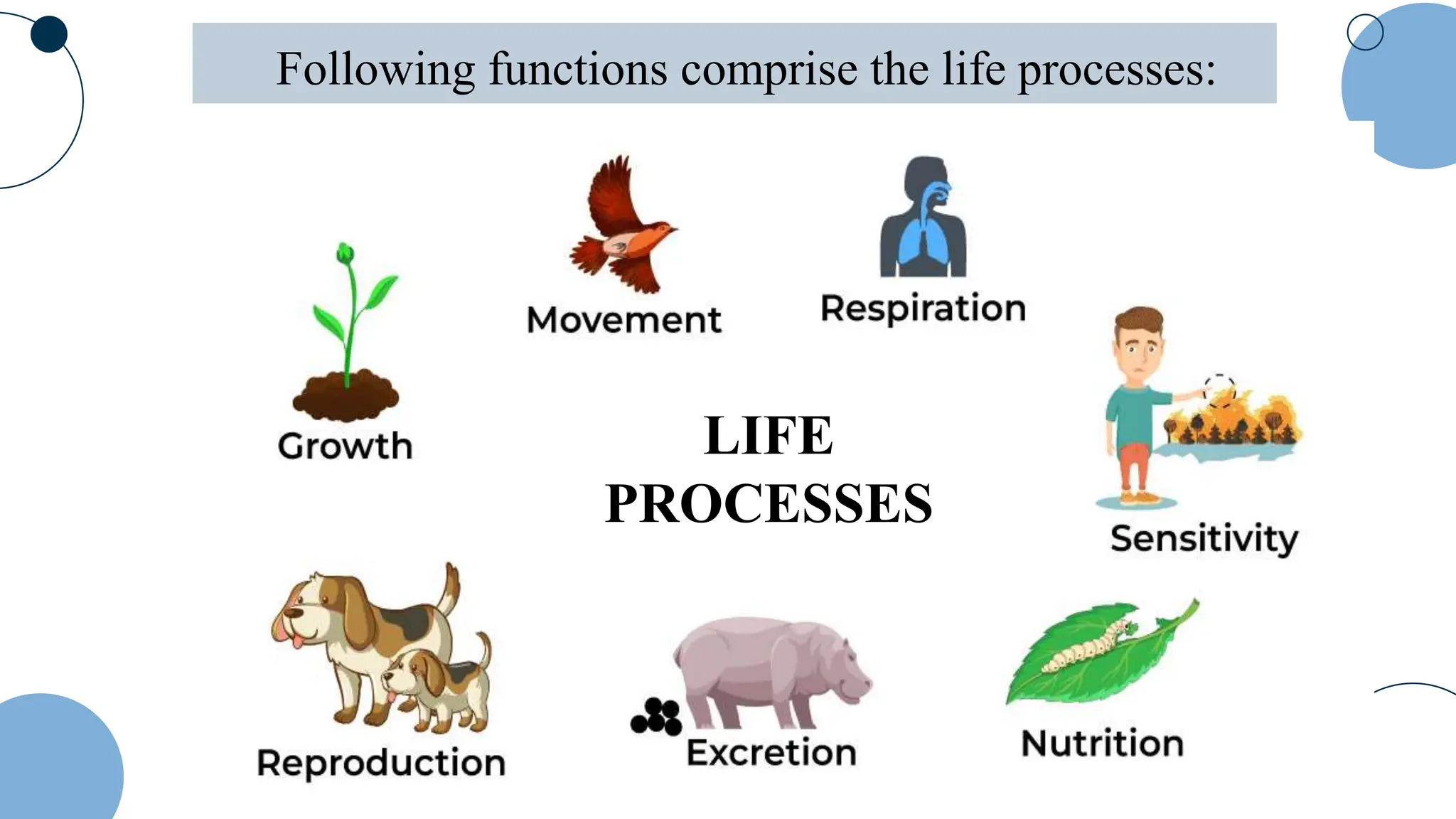LIFE PROCESSES, HOMEOSTATIC MECHANISM, BIOLOGICAL AND PSYCHOSOCIAL ...