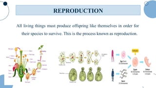 LIFE PROCESSES, HOMEOSTATIC MECHANISM, BIOLOGICAL AND PSYCHOSOCIAL ...