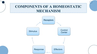 LIFE PROCESSES, HOMEOSTATIC MECHANISM, BIOLOGICAL AND PSYCHOSOCIAL ...