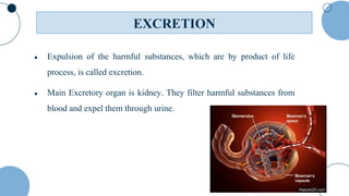 LIFE PROCESSES, HOMEOSTATIC MECHANISM, BIOLOGICAL AND PSYCHOSOCIAL ...