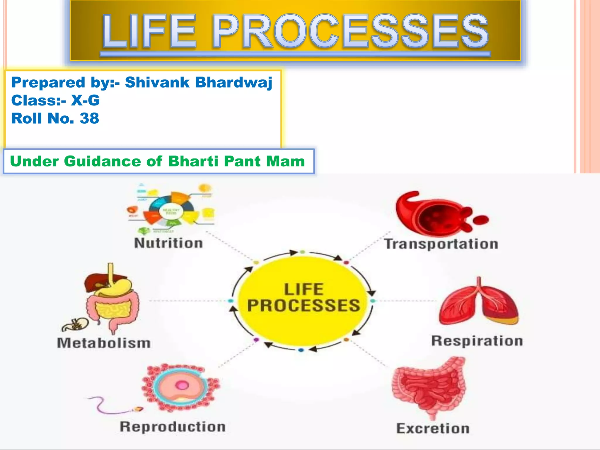 Life Process Class-X | PPTX | Nutrition | Healthy Living