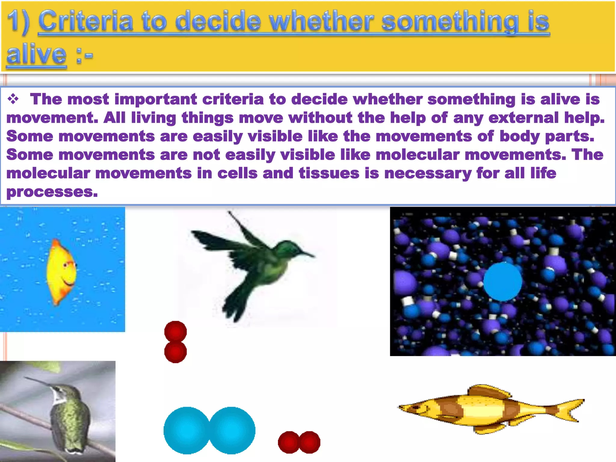 Life Process Class-X | PPTX