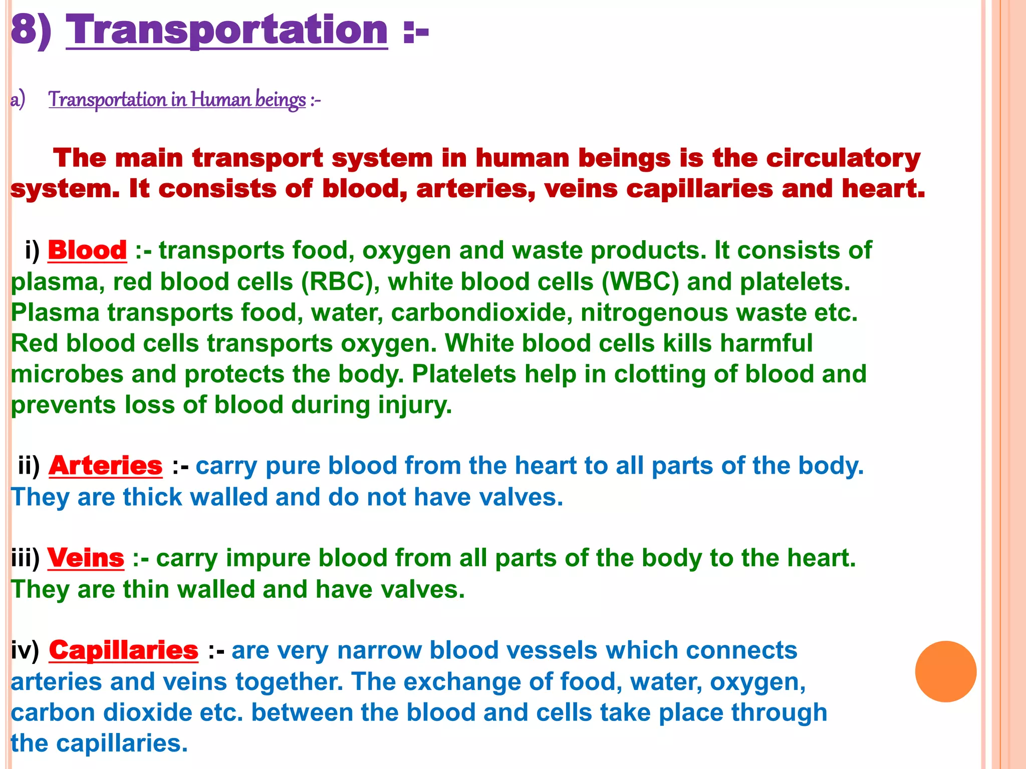 Life Process Class-X | PPTX