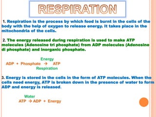 Life Process Class-X | PPTX