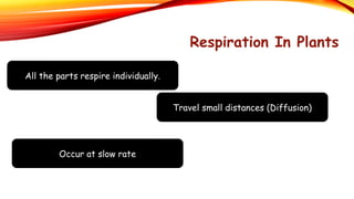 class 10 chapter-1 Life process (Respiration).pptx