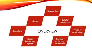 class 10 chapter-1 Life process (Respiration).pptx