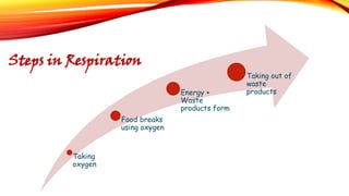class 10 chapter-1 Life process (Respiration).pptx