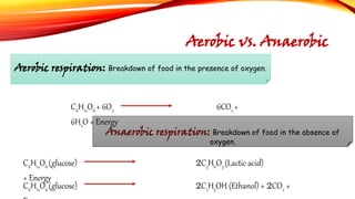 class 10 chapter-1 Life process (Respiration).pptx