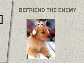 life's lessons-taught by animals | PPT