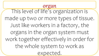 Life's Organization Ggrade Seven Science | PPT