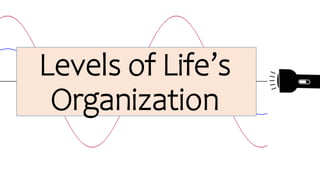 Life's Organization Ggrade Seven Science | PPT