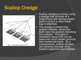 Fishery Science: Life saving oceanographic devices | PDF