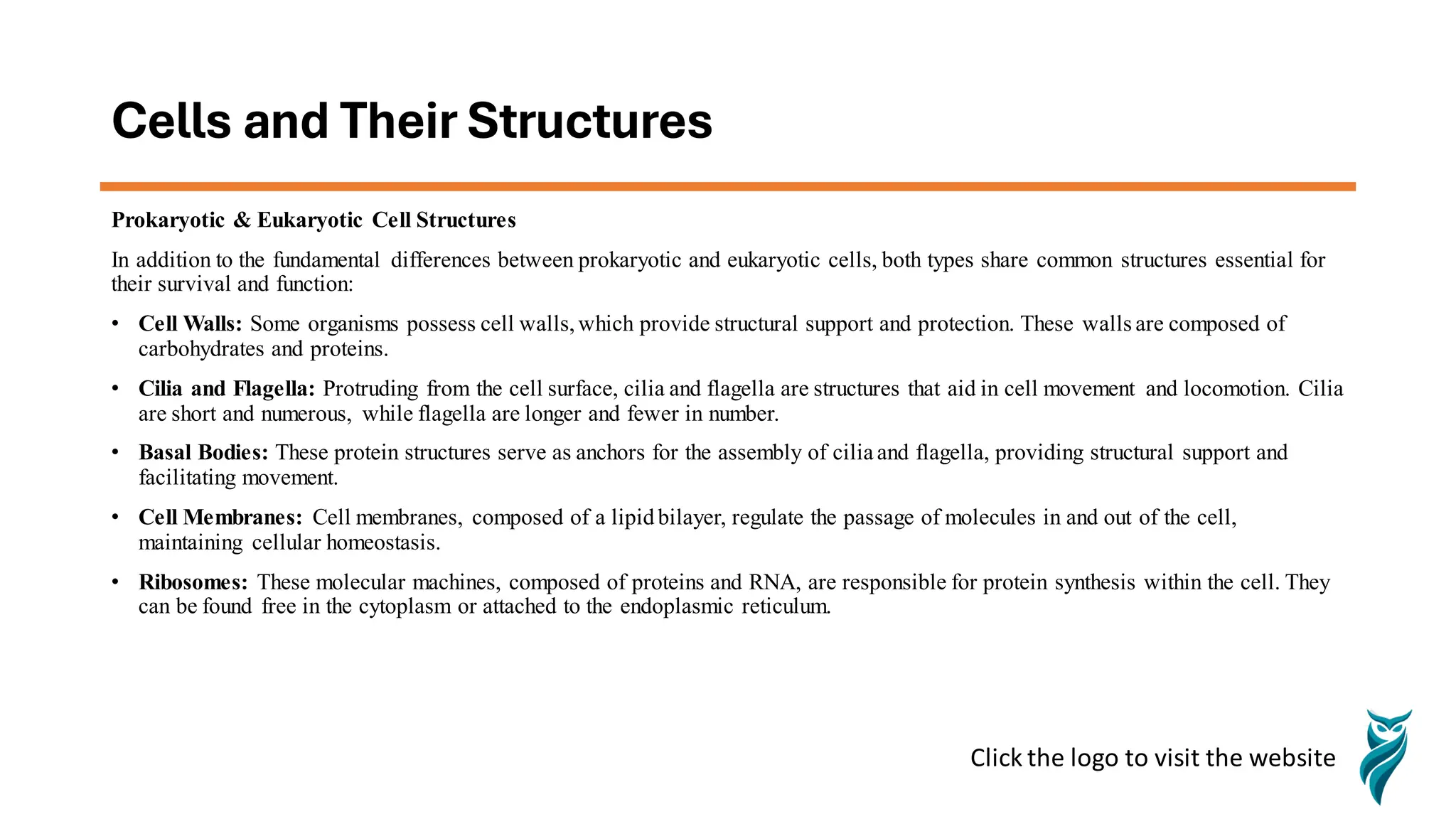 Understanding Cells and Their Structures : ged Life Science.pdf