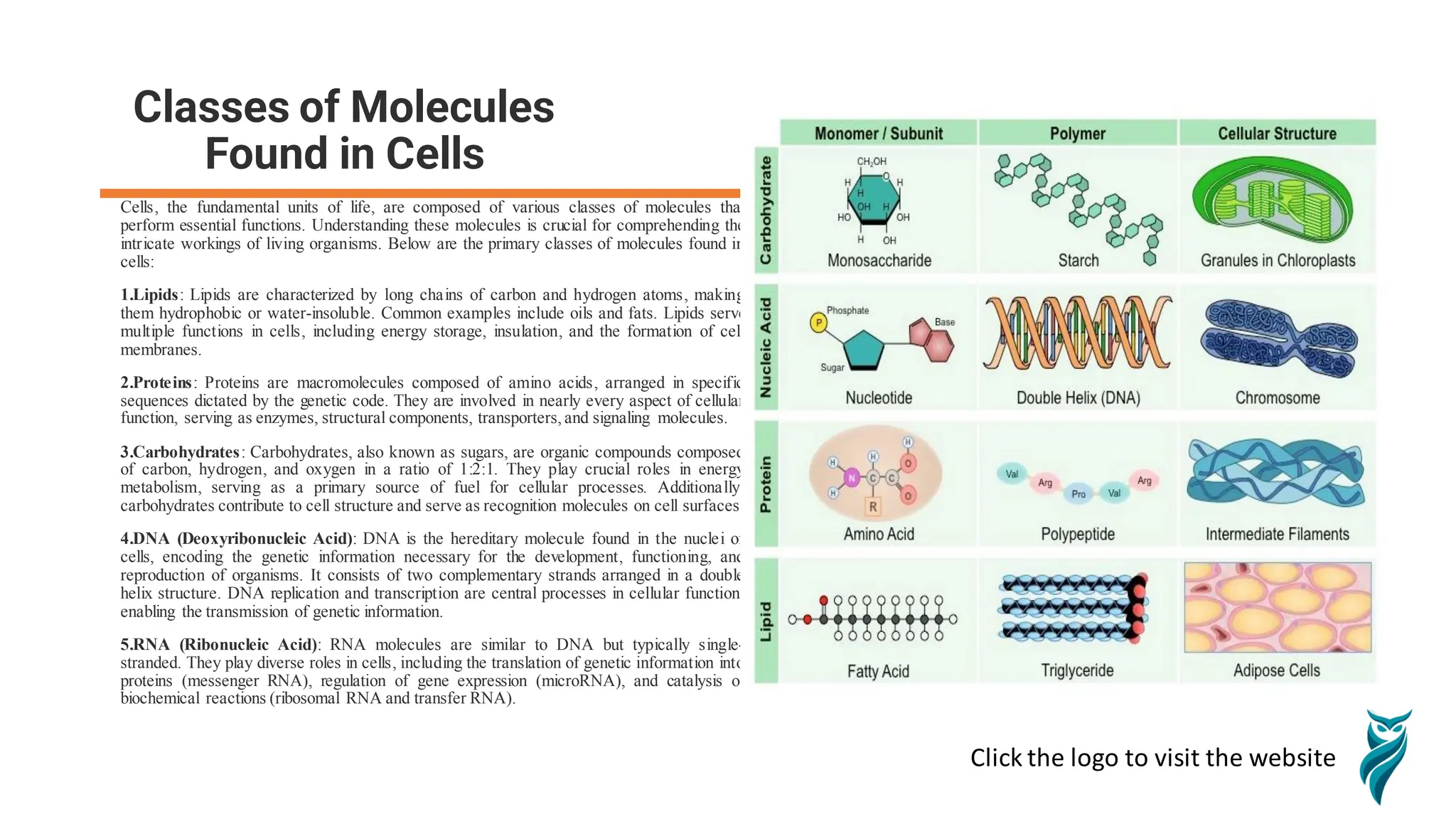Understanding Cells and Their Structures : ged Life Science.pdf
