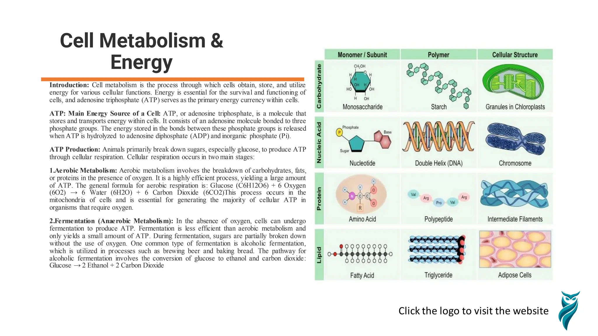 Understanding Cells and Their Structures : ged Life Science.pdf