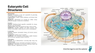 Understanding Cells and Their Structures : ged Life Science.pdf