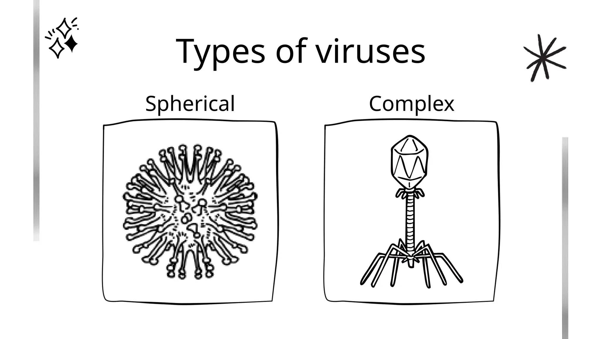 LIFE SCIENCE for biology, cells, viruses | PPTX
