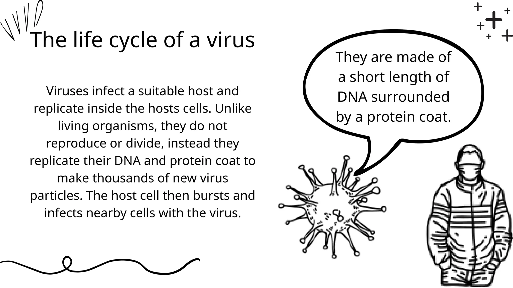 LIFE SCIENCE for biology, cells, viruses | PPTX